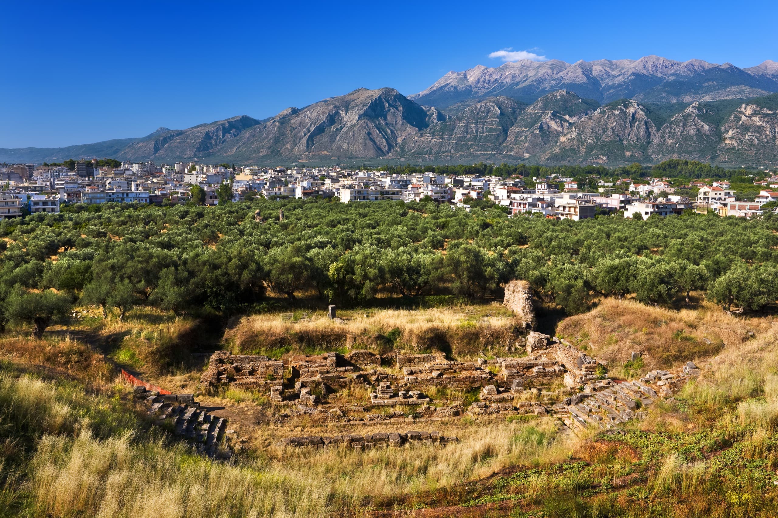 Sparta, Laconia, Peloponnese, Greece - History, Accommodation ...